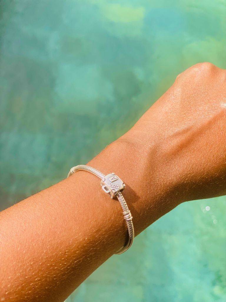 Pandora Forestside 2024 www.alhudapk