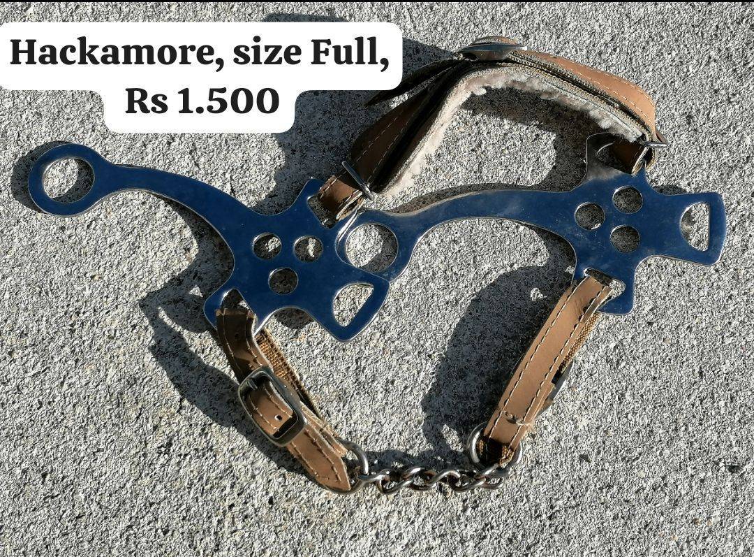 bitless bridle: Engl. Hackamore & 1 pair of shanks - weshare.mu